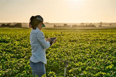 Fiche Mtier Agronome Fiche Métier] Quest Ce Quun Responsable Sales