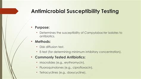Isolation And Identification Of Campylobacter Bacteriapptx