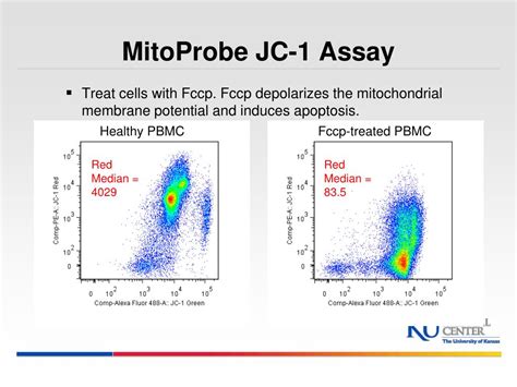 Ppt Measuring Apoptosis Using Flow Cytometry Powerpoint Presentation