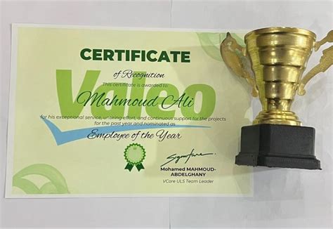 Mahmoud Ali On Linkedin Valeo Employeeoftheyear Teamwork Grateful