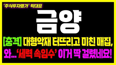 금양 초거대세력 12월 추가 매집 진행중 충격적 매수 이유 공개 금양금양 주가전망lg에너지솔루션 에스엠랩 몽골리튬광산 발포제 수산화리튬 원통형배터리