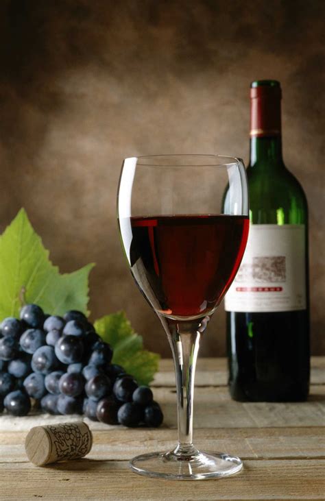 How To Replace A Trash Compactor With A Wine Cooler