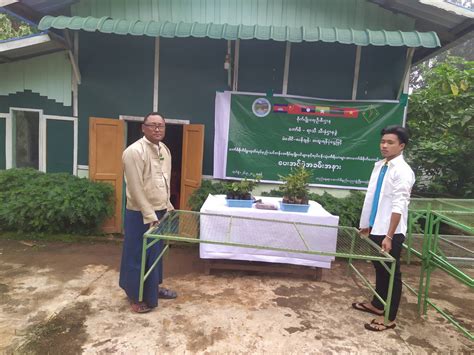 ငဖဲမြို့နယ်တွင် ကော်ဖီစိုက်ပျိုးထုတ်လုပ်နည်းသင်တန်း၊ ကော်ဖီပျိုးပင်၊ အရိပ်ရပျိုးပင်များနှင့် လုပ