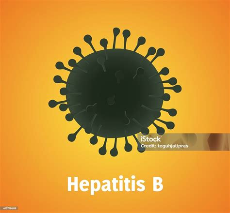 텍스트 벡터 그래픽으로 격리된 B형 간염 바이러스 단일 간염에 대한 스톡 벡터 아트 및 기타 이미지 간염 증상 B형간염