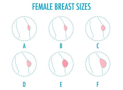 Different Breast Shapes Chart
