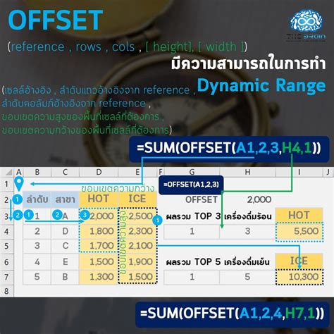 The Brain Offset Reference Rows Cols Height Width มี