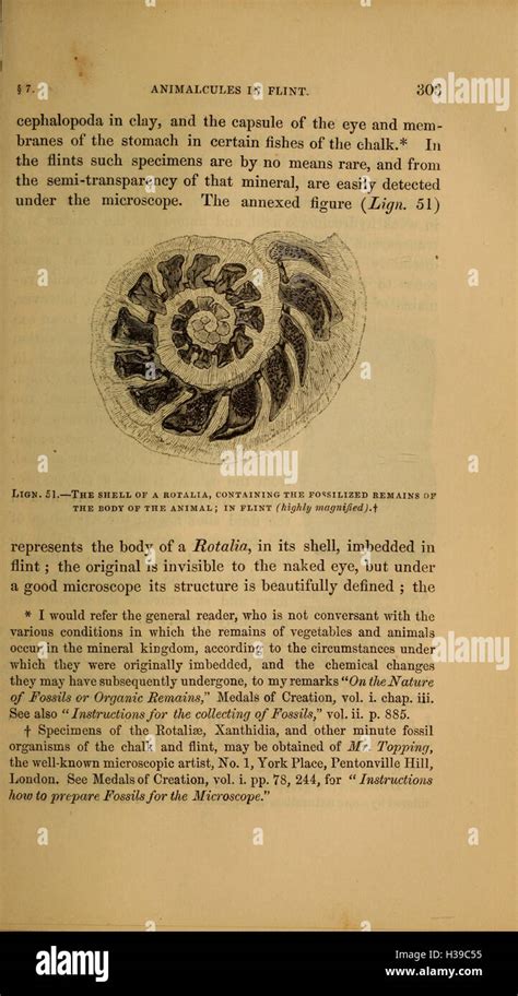 A Comprehensive Guide To Geological Phenomena Explaining Geological Features And Processes In