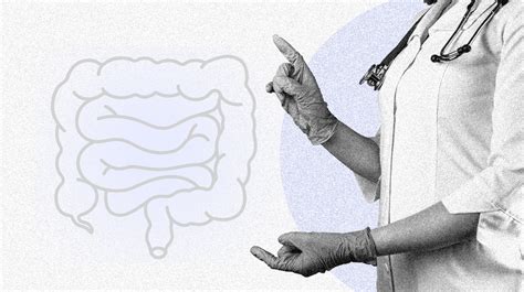 Sigmoid Colon Anatomy Functions And Diseases In 2025