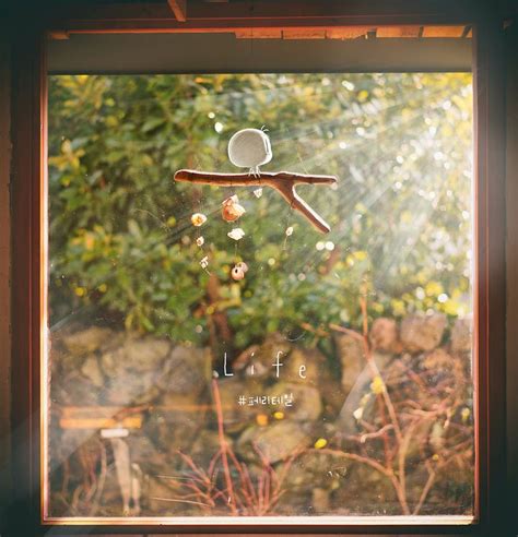 나를 자꾸 안전한 곳으로 밀어 넣는다 페리테일 날씨가 좋은 날은 근사한 초록이 보이고 궂은날 비바람은 피할 수 있어 좋아 유리를 건너온 것이지만 따스한 햇살이 등