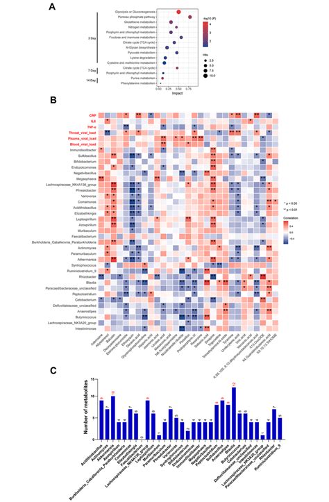 Correlations Between The Alterations In The Fecal Metabolites Profile