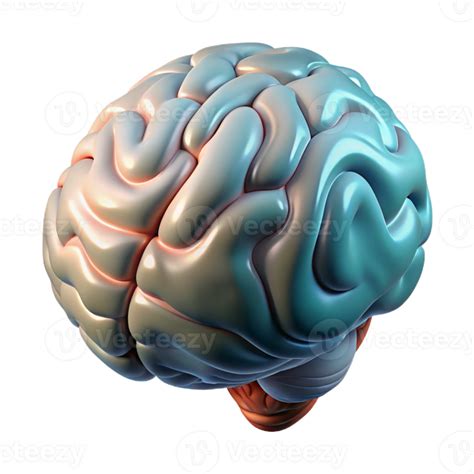 Extraordinary Traditional Digital Brain Scan With Highlighted Areas Isolated High Quality