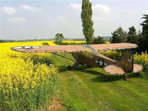 Beauty In The Grass Vintage Aircraft Aircraft Wwii Aircraft