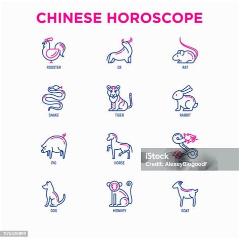중국 별자리 얇은 라인 아이콘 세트 수탉 황소 마우스 용 호랑이 토끼 돼지 말 개 원숭이 염소 달력에 대한 현대 벡터 그림입니다 상징에 대한 스톡 벡터 아트 및 기타 이미지
