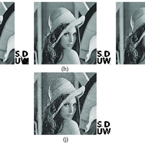 Pdf A Robust Image Watermarking Technique Based On Dwt Apdcbt And Svd