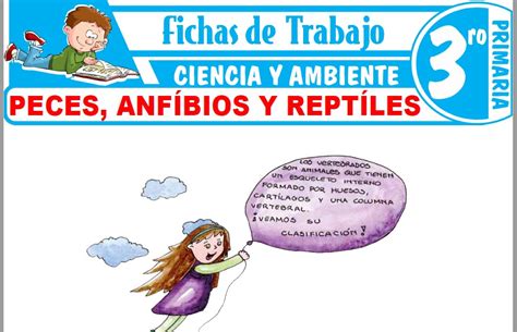 Peces Anfíbios Y Reptíles Para Tercero De Primaria Fichas