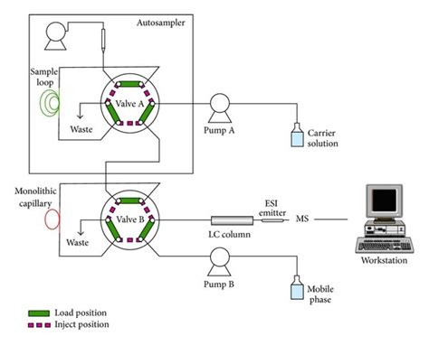 Construction Of Automated In Tube Spme Hplc Ms System And Scanning Download Scientific Diagram