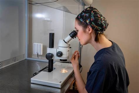 Fertility Treatment For Same Sex Couples Perth