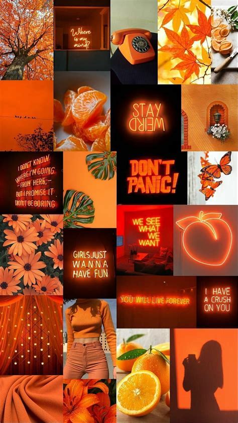 Orange Aesthetic Wallpapers · 300 Backgrounds 🍊🧡🥕