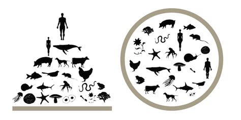 Ego Centric V Eco Centric Diagram Adapted From Art Tawanghar Designer San Diego 2016 Good Design