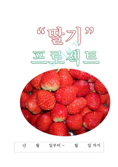 딸기프로젝트 교육계획안 딸기가 되는 과정 딸기로 만든 음식 헛열매 참열매 딸기꽃 딸기잎 뱀딸기 창의활동지사범교육레포트