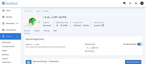 How To Renew A Domain Name And How Much Does It Cost