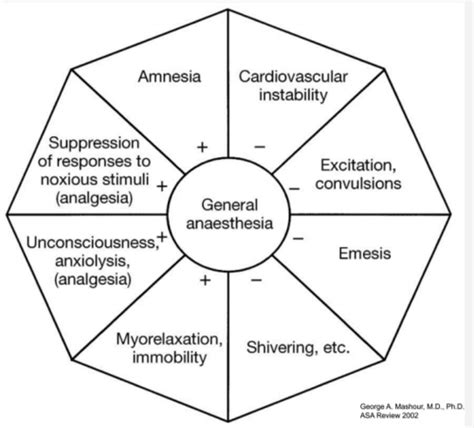 Monitoring Anesthetic Depth Flashcards Quizlet