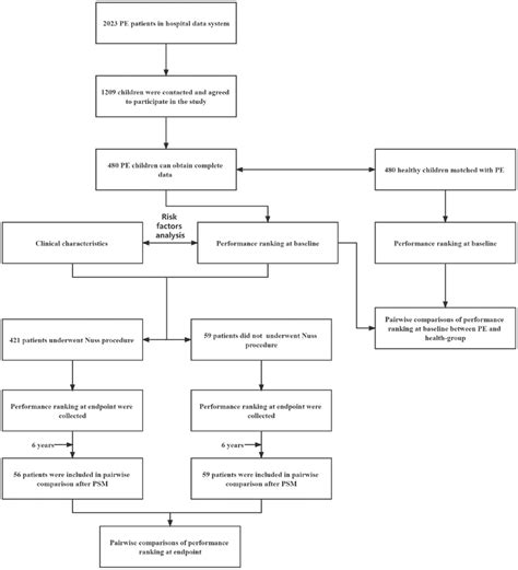 Flow Chart Of The Study PE Pectus Excavatum PSM Propensity Score Download Scientific