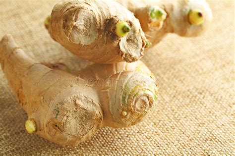 Ginger Close Up Stock Image Image Of Brown Cook Organic 30584431