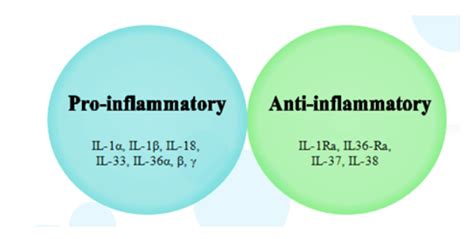 Proinflammatory And Anti Inflammatory Cytokines Finetest Elisa Kit