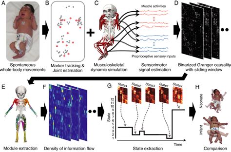 Research Overview A Motion Capture Of Infantile Spontaneous Download Scientific Diagram