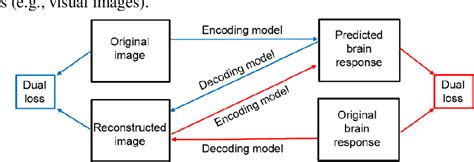 Figure 1 From Brain Encoding And Decoding In FMRI With Bidirectional