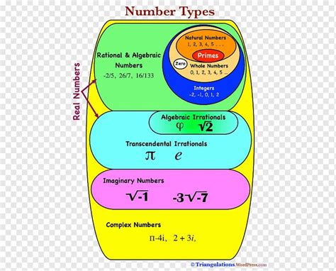 Understanding Number Classifications Using Venn Diagrams