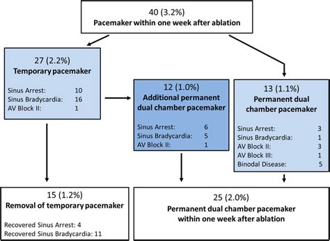 Pacemaker Vs Ablation For Afib Doctorvisit