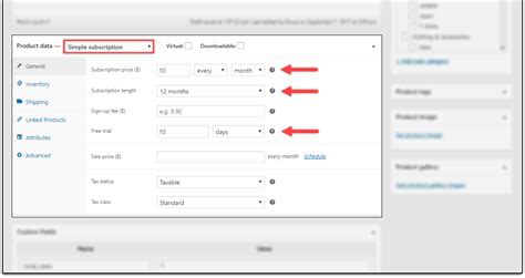 Integrate Stripe Payment Gateways With Woocommerce Subscription
