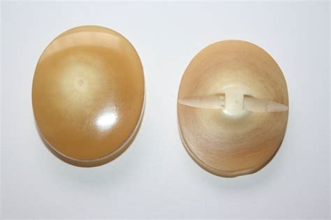 echt Horn Farbe hell Größe 33mm - Hornknoepfe.de