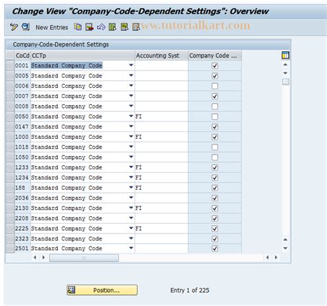 REMMCCSET SAP Tcode Company Code Dependent Settings