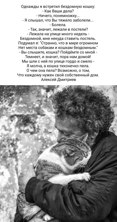 Пин от пользователя Анна Барахтина на доске стихи Литература цитаты Цитаты марка твена Стихи