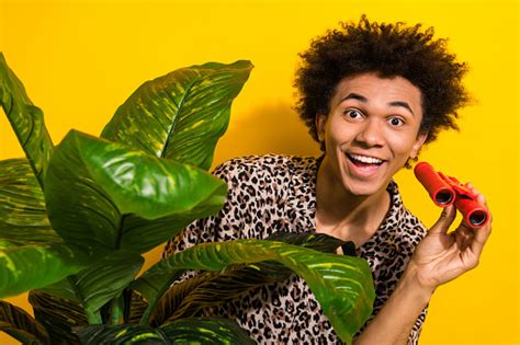 Chevelure 착용 표범 셔츠 쌍둥이에 스파이 노란색 배경에 고립 된 식물 뒤에 숨어 있는 흥분한 사람의 초상화 Omg에 대한 스톡 사진 및 기타 이미지 Istock