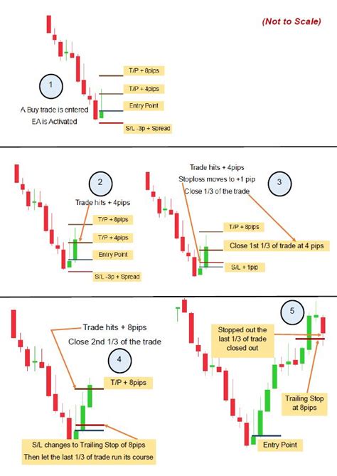 Ea On A Manual Entry To A Trade Ea To Deploy Stoploss And Take Profit Points An Order To