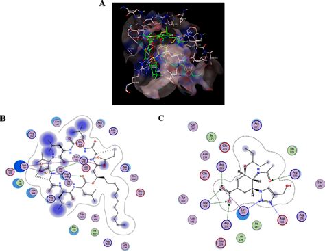 molecular docking analysis for interaction with h1n1 influenza virus