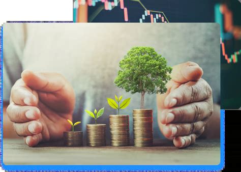 Core And Satellite Portfolio Renaissance Investment Advisors