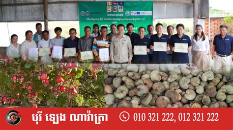 ក្រុមហ៊ុនមួយចុះកិច្ចសន្យាទិញគ្រាប់ស្វាយចន្ទីប្រមាណ៤០០តោនពីសហគមន៍កសិកម្មទំនើប៣នៅខេត្តកំពង់ធំ