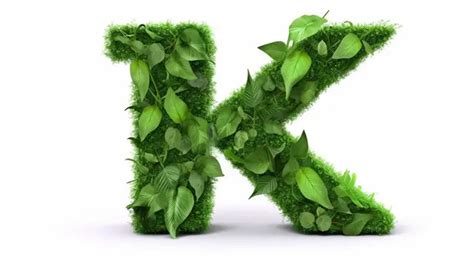 자연 식물이 있는 문자 K 3d 알파벳 문자 K 녹색 식물은 클리핑 패스 3d 그림을 사용하여 흰색 배경에 격리된 잔디 이끼