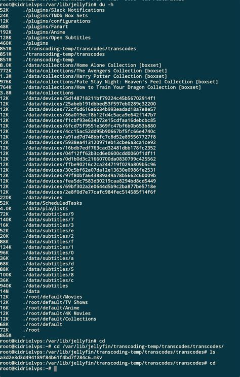 transcoding not working correctly r jellyfin