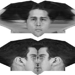 Final Smoothed Texture Download Scientific Diagram