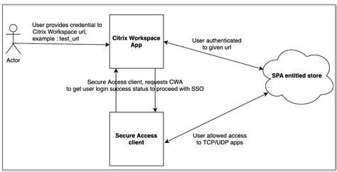 Single Sign On To The Citrix Secure Access Client Via Citrix Workspace App