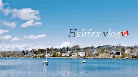 [🇨🇦vlog] 갑자기 시작된🤷‍♀️ 캐나다 살이 강아지 이동 봉사 캐나다 도서관 핼리팩스 일상 Youtube