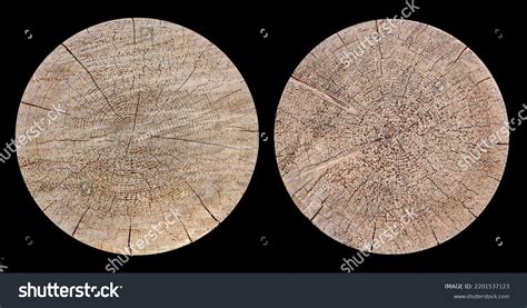 Cross Section Tree Trunk Showing Growth Stock Photo 2201537123 Shutterstock