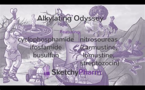 2 1 Cyclophosphamide Ifosfamide Busulfan Nitrosoureas Flashcards Quizlet
