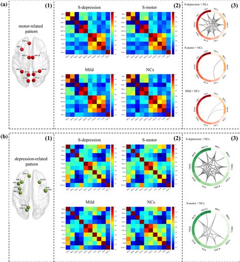 Subtype Differences In Functional Connectivity Within The Motor‐related Download Scientific